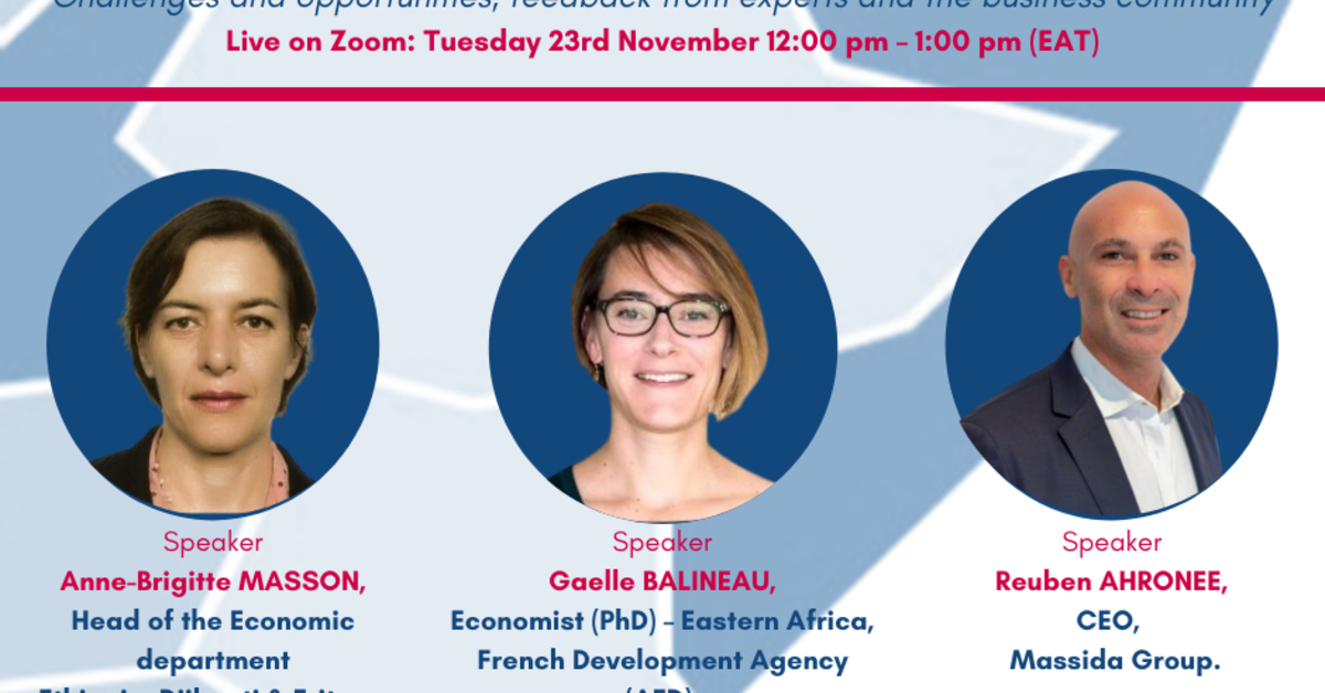 East Africa Business Forum 2021: Doing business in Djibouti | CCI ...