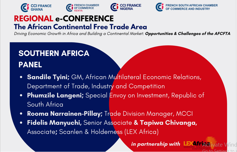 Southern African Panel | AfCFTA Regional e-Conference | CCI France Kenya